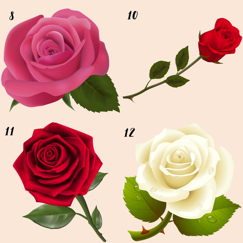 Roses Clipart, Flower Clipart, Rose Clip Art, Flowers Clip Art ...