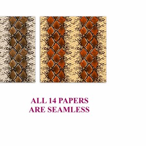 Snake Textures, Digital Paper, Seamless Pattern, Animal Background, Zoo ...