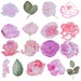 Hand Drawn Watercolor Roses Clipart Set Watercolour Floral - Etsy