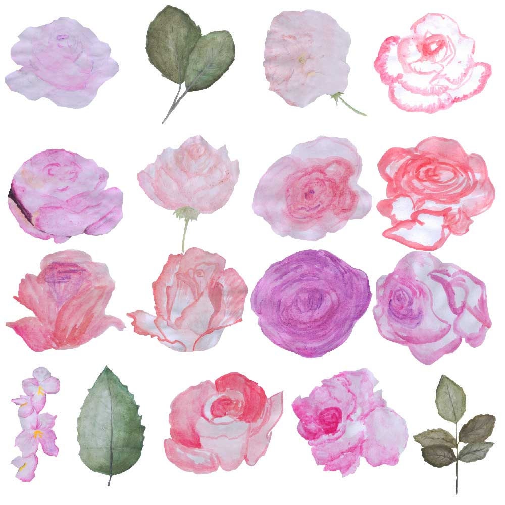 Hand Drawn Watercolor Roses Clipart Set Watercolour Floral - Etsy