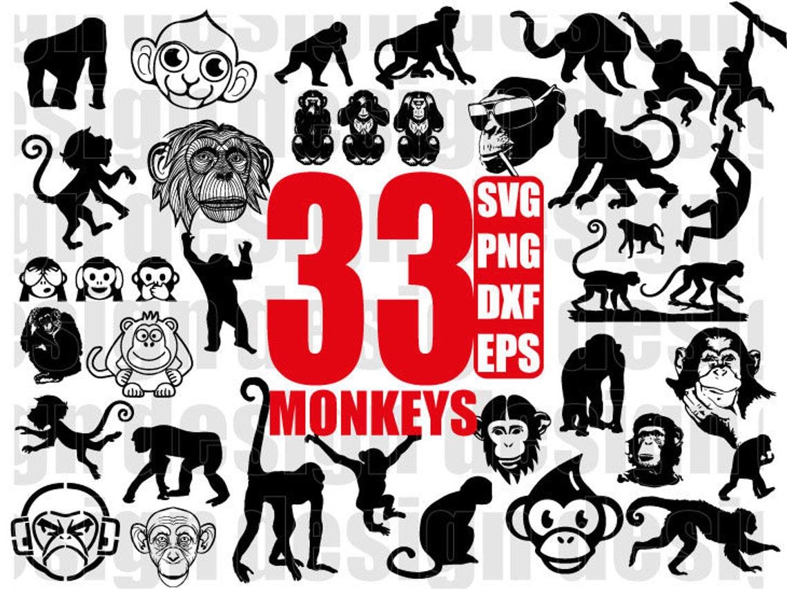 MONKEY SVG, Monkeys Svg, Ape Svg, Chimp Svg, Primat Svg, Nature Svg ...