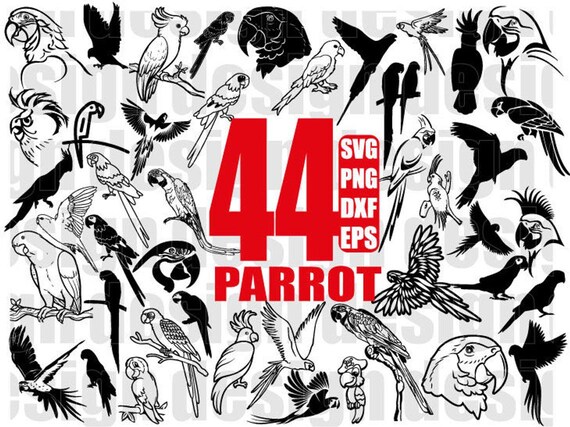 PARROT SVG Bird Svg Tropical Bird Svg Parrot Digital Paper | Etsy