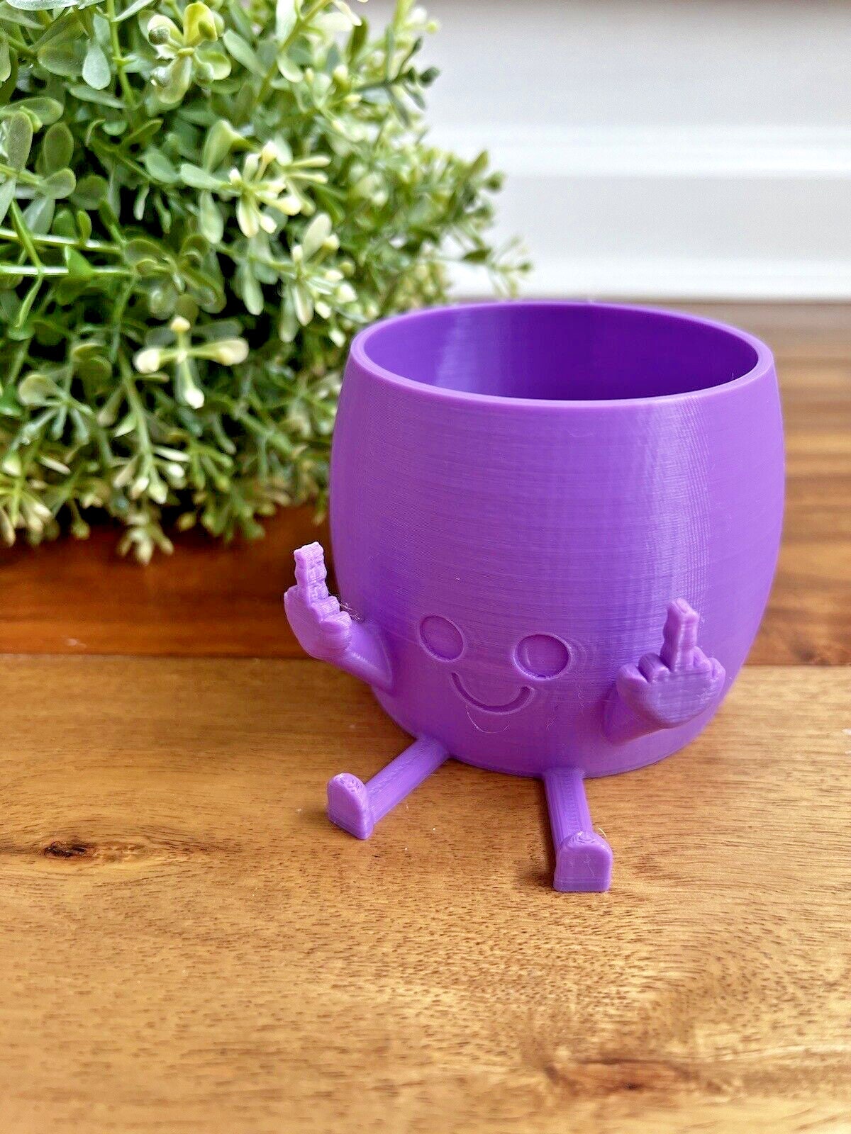 Middle Finger Happy Planter Kawaii Planter Pot With Face, Succulent ...