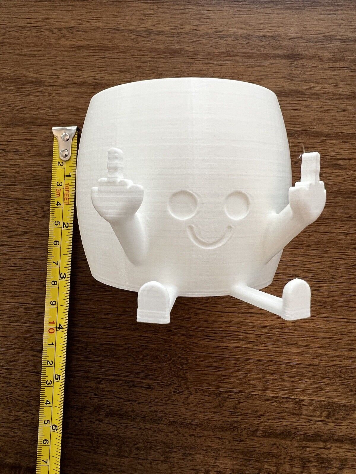 Middle Finger Happy Planter Kawaii Planter Pot With Face, Succulent ...