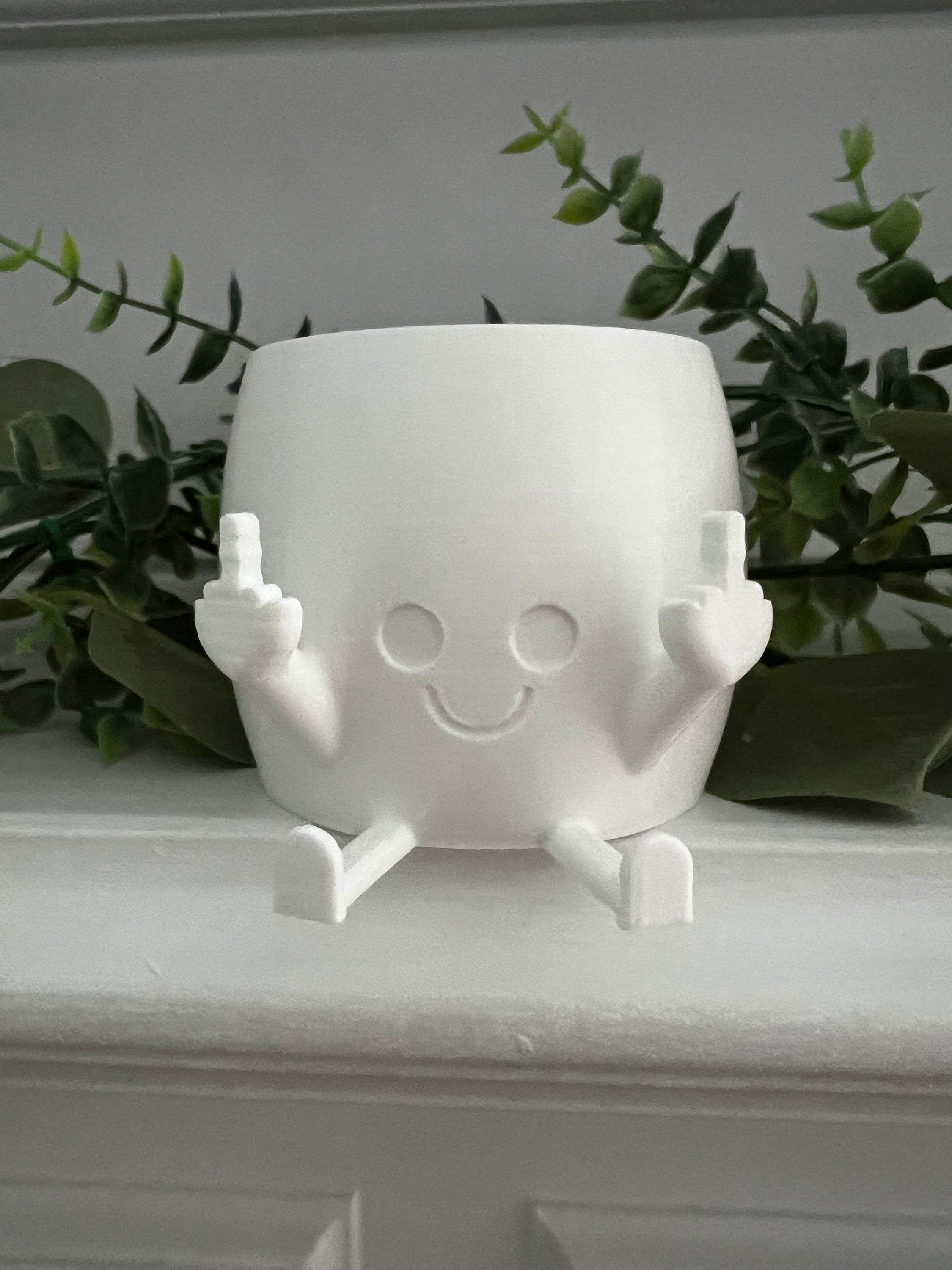 Middle Finger Happy Planter Kawaii Planter Pot With Face, Succulent ...