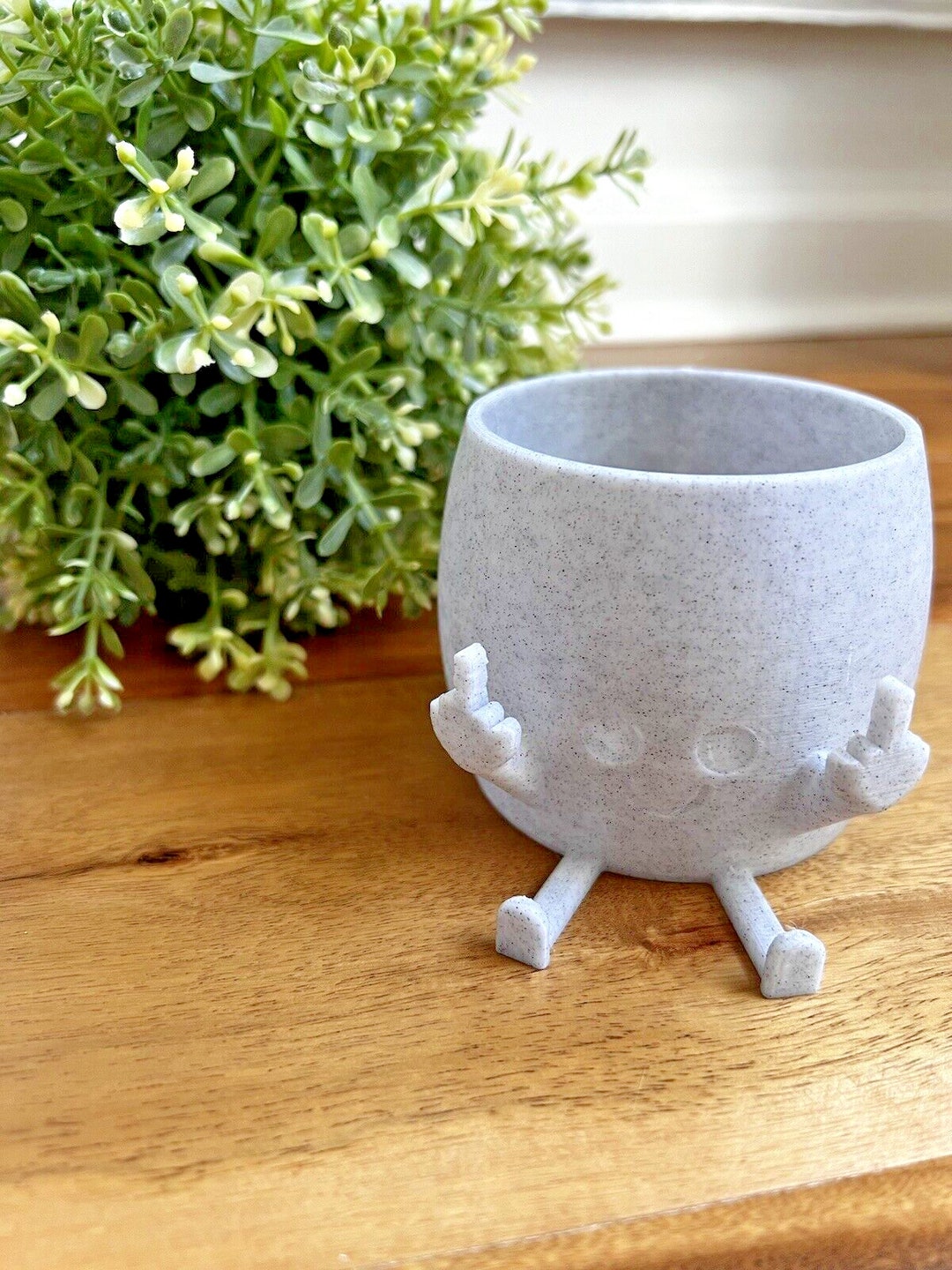Middle Finger Happy Planter Kawaii Planter Pot With Face, Succulent ...