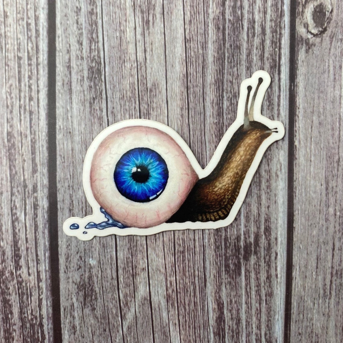 Eyeball Snail Sticker vinyl Sticker Decal Weird Funky - Etsy