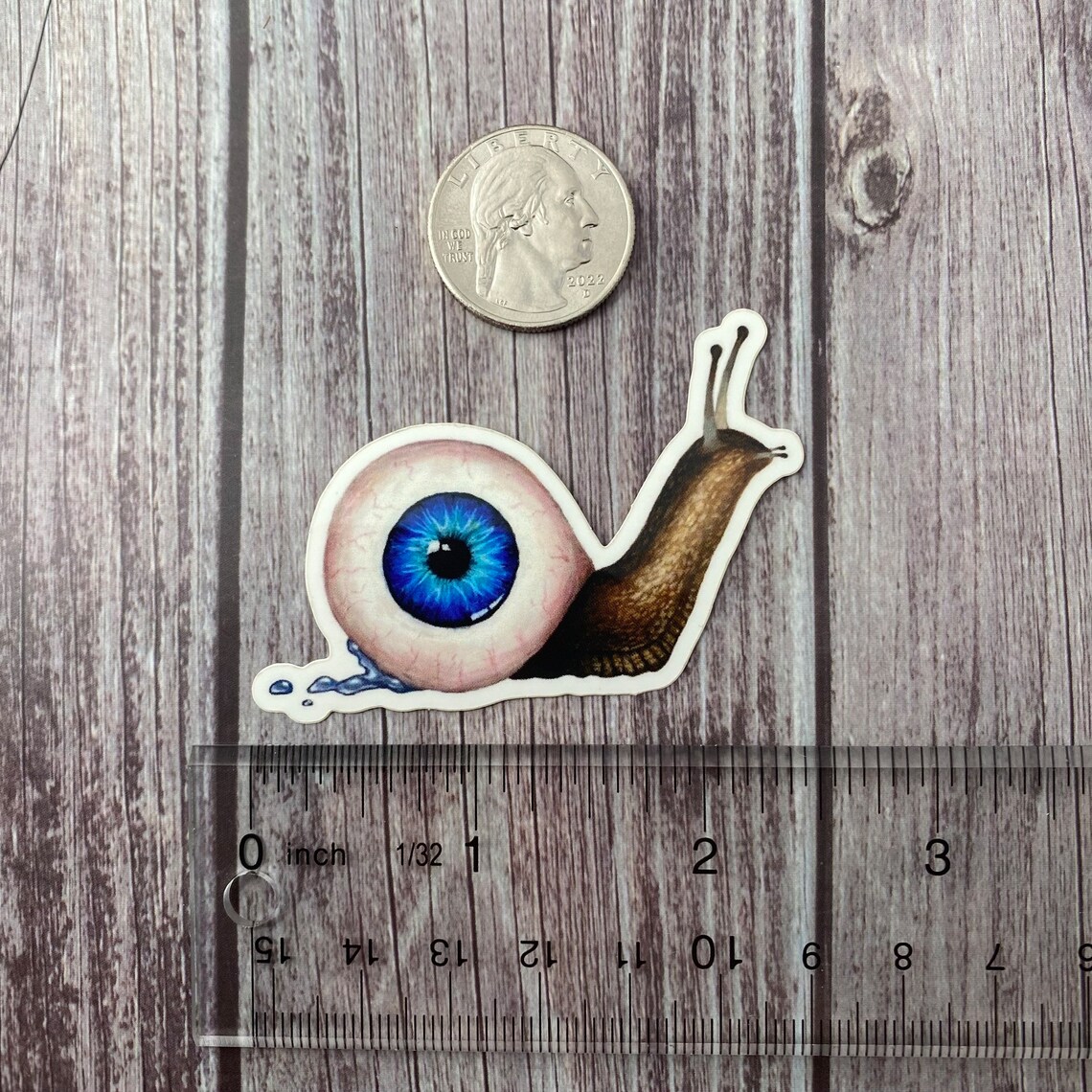 Eyeball Snail Sticker vinyl Sticker Decal Weird Funky - Etsy