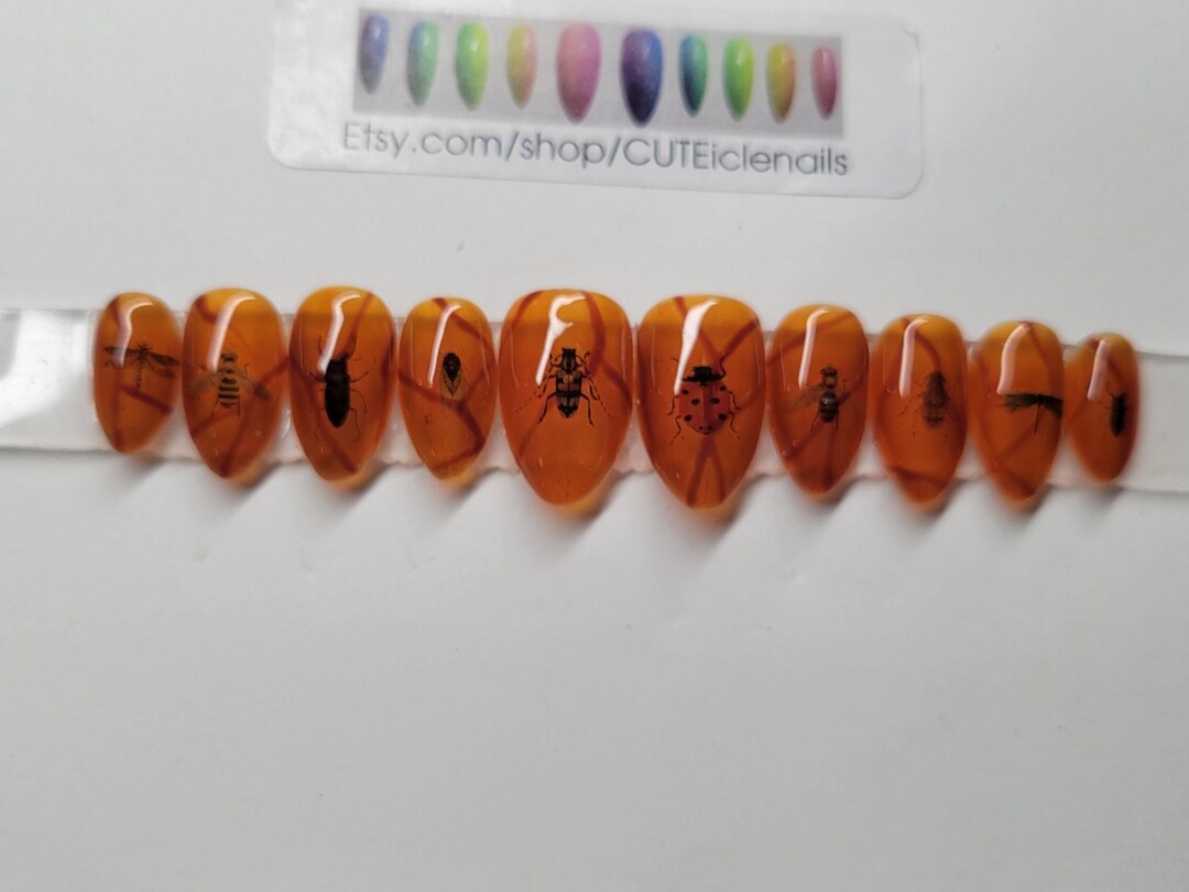 Fossilized Bug Custom Gel Press on Nails - Etsy
