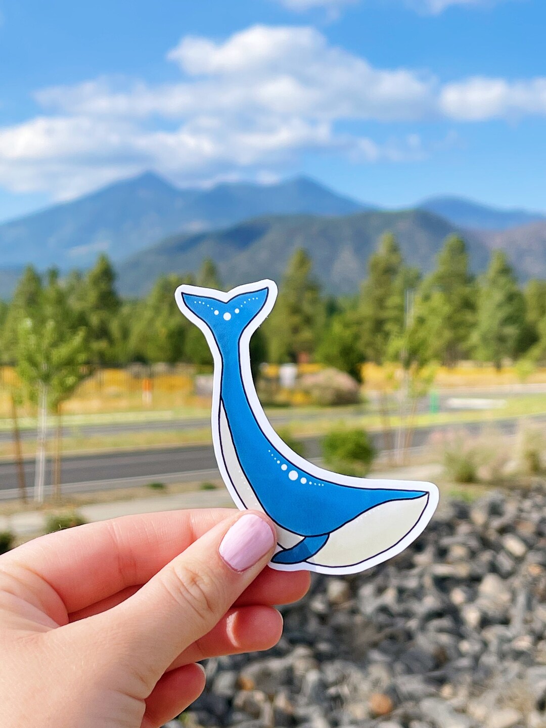 Whale Sticker - Cute Water Resistant Decal - Aesthetic Sticker for ...
