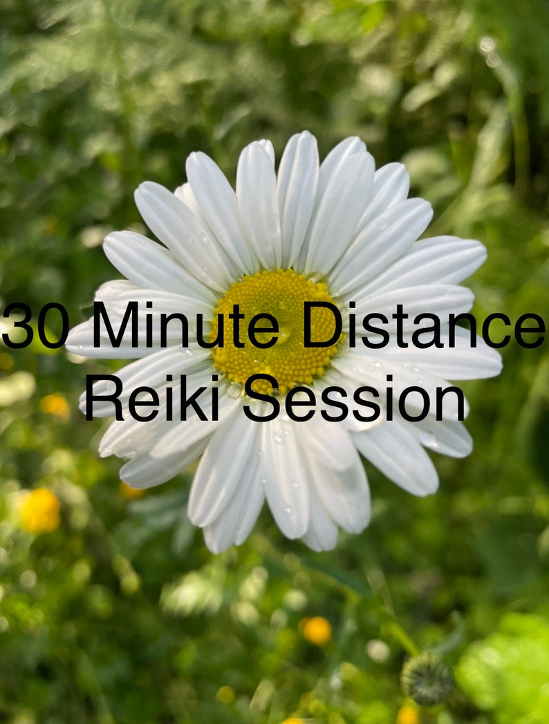 30 Minute Distance Reiki Healing Sessions - Etsy