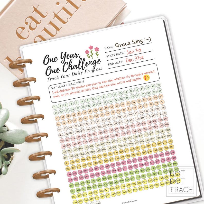 365 Day Challenge Tracker: Printable Happy Planner Insert (PDF) - Etsy