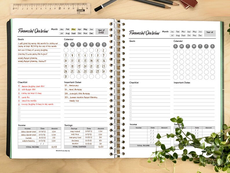 Printable Monthly Financial Overview: Budget Planner (JPG Digital ...