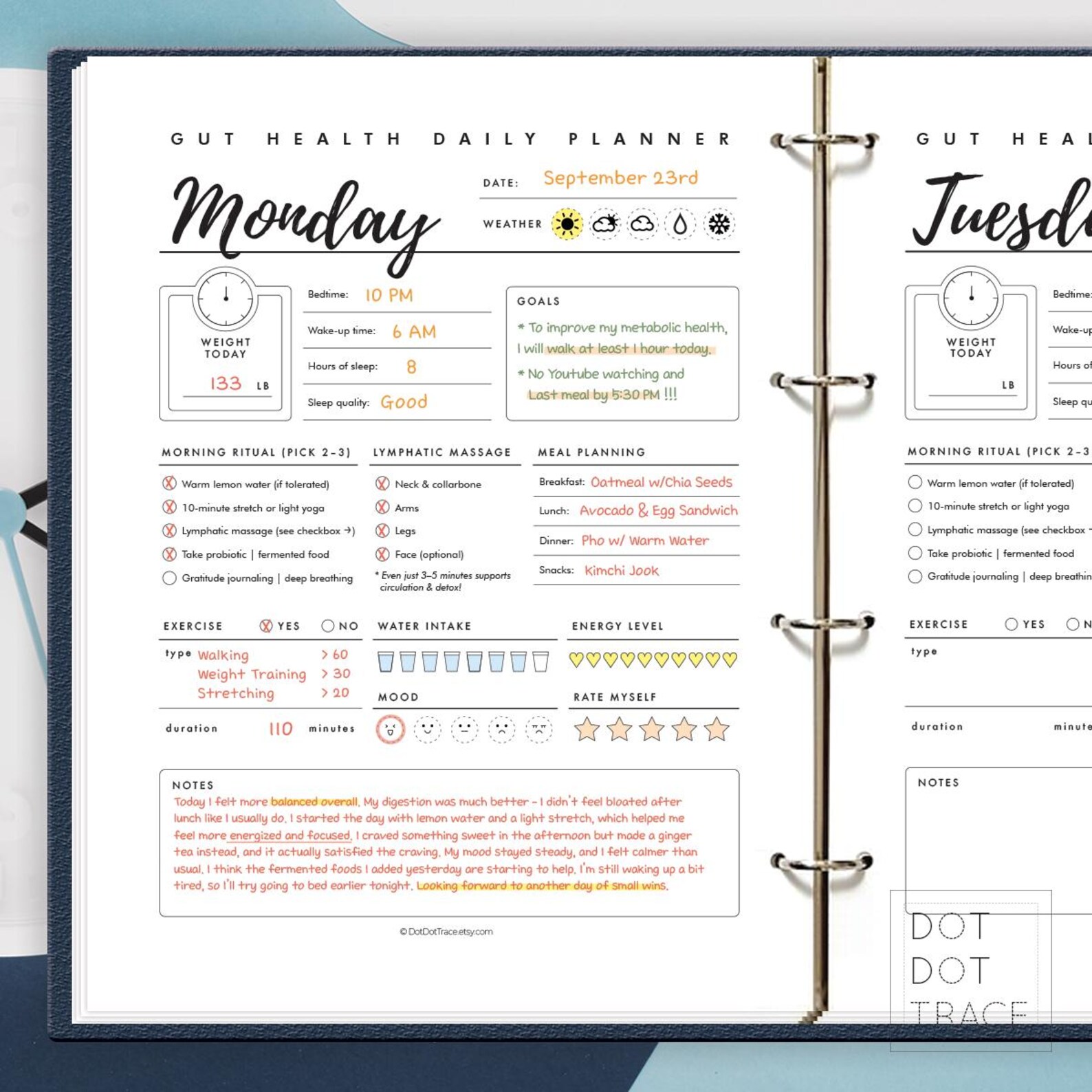 7-day Gut Health Planner: Printable Wellness Journal (PDF Download ...