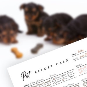 A5, Half Letter & Half A4_printable Daily Pet Report Card Pet Daily Log ...
