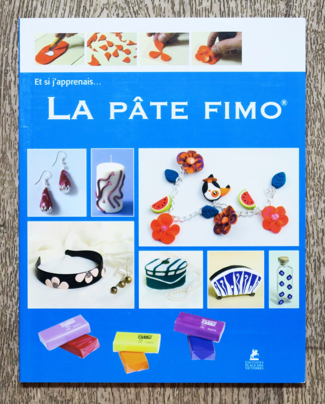 Book What If I Learned FIMO Clay, Polymer Clay Book, Polymer Clay ...