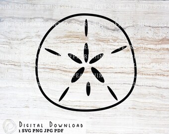 Sea Shell Svg - Etsy