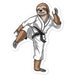 Sloth Karate Sticker - Funny Kickboxing Sticker - Kung Fu Sticker ...