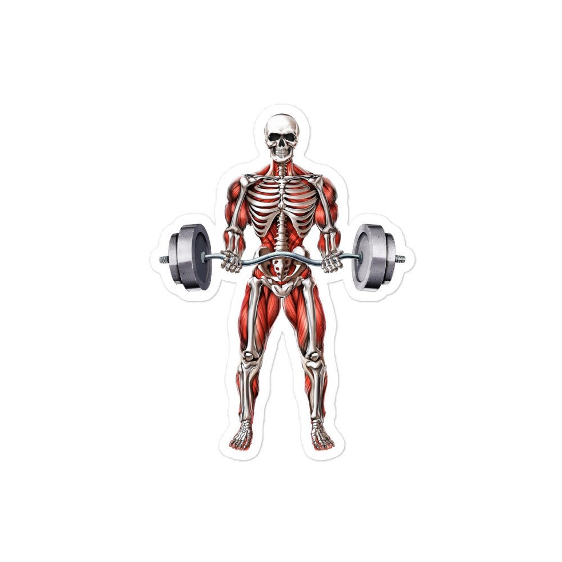 Skeleton Fitness Sticker, Gym Workout Decal, Bodybuilding Sticker ...