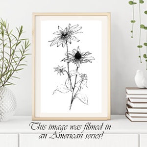 Black-eyed Susan, Sketch, Rudbeckia, Clipart, Maryland Flower, Art ...