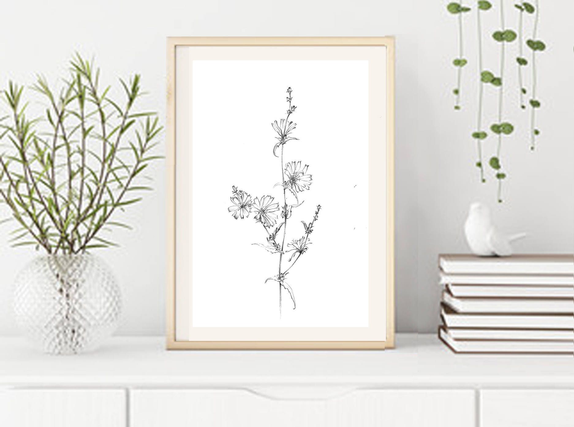 Chicory Sketch Blue Sailors Printable Coloring Page Wild - Etsy Singapore