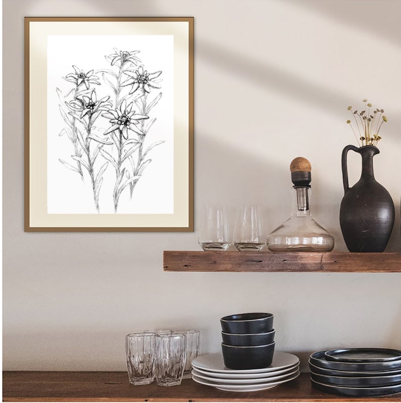 Edelweiss Sketch Botanical Print Digital File JPEG Hygge - Etsy