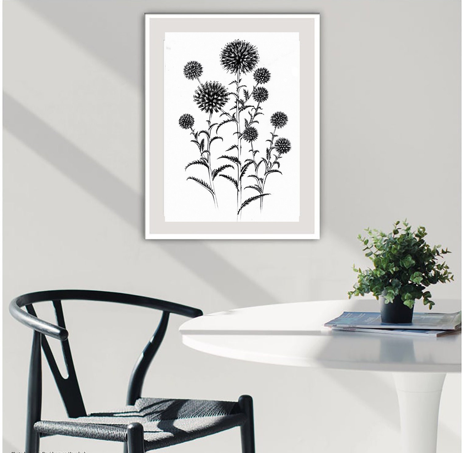 Echinops Botanical Sketch, Clipart, Art Prints, Line Drawing, Plant ...