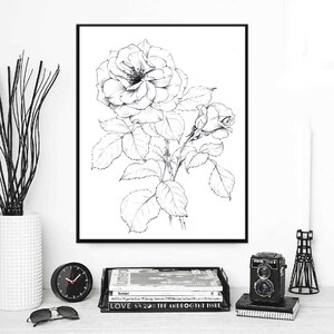 Rose Art Sketch, New York Flower, June Birth Flower, Clipart, Line ...