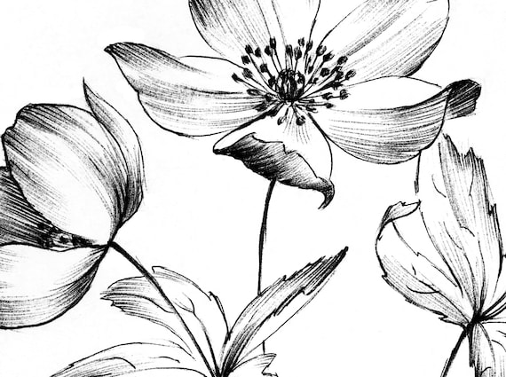 Coloriage Anémone Summer Sea' Colouring Page With Little Sea