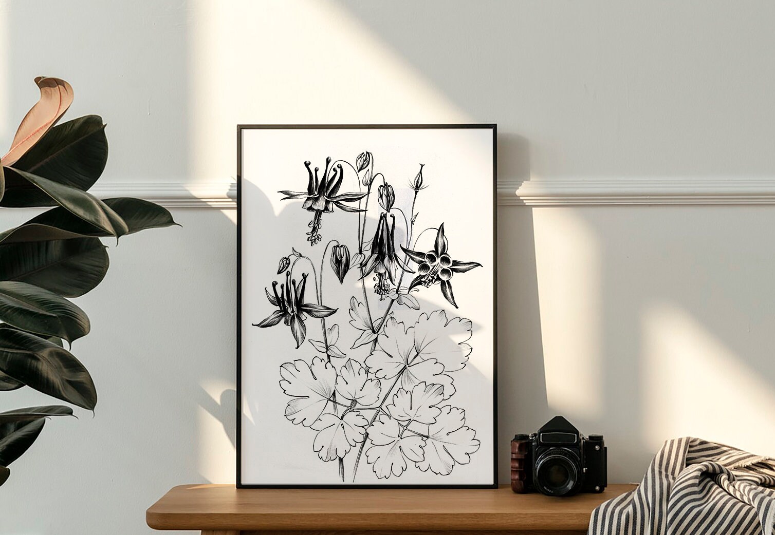 Red Columbine. Wildflower Sketch Line Drawing Oregon Plant - Etsy