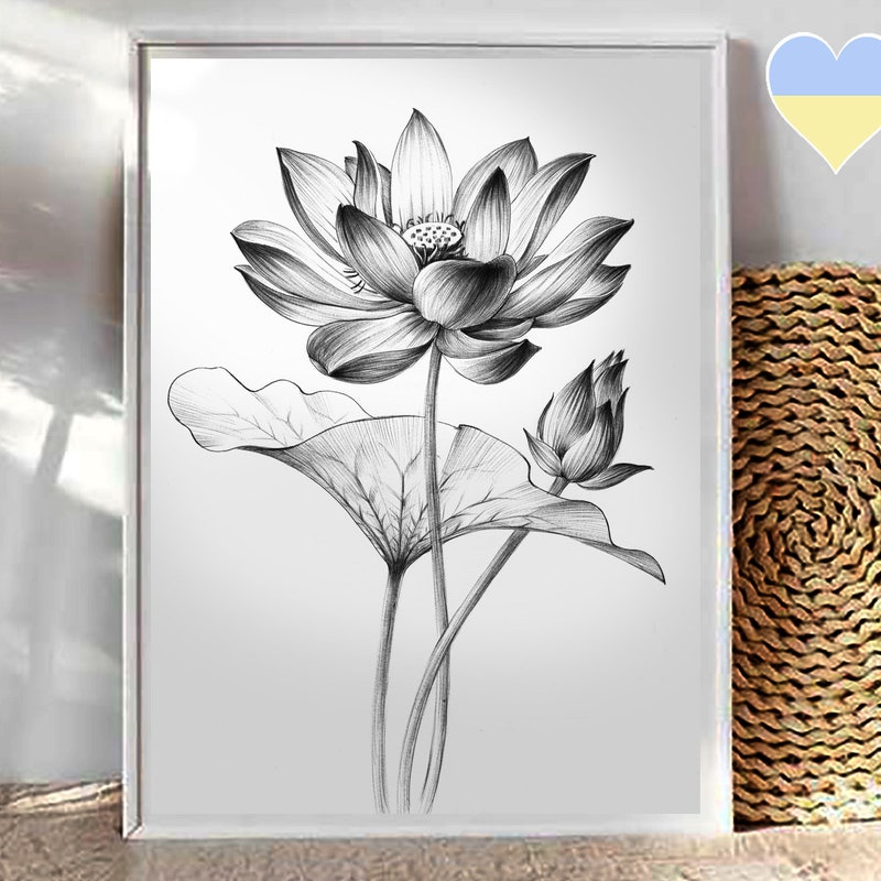 Lotus Flower Print - Etsy