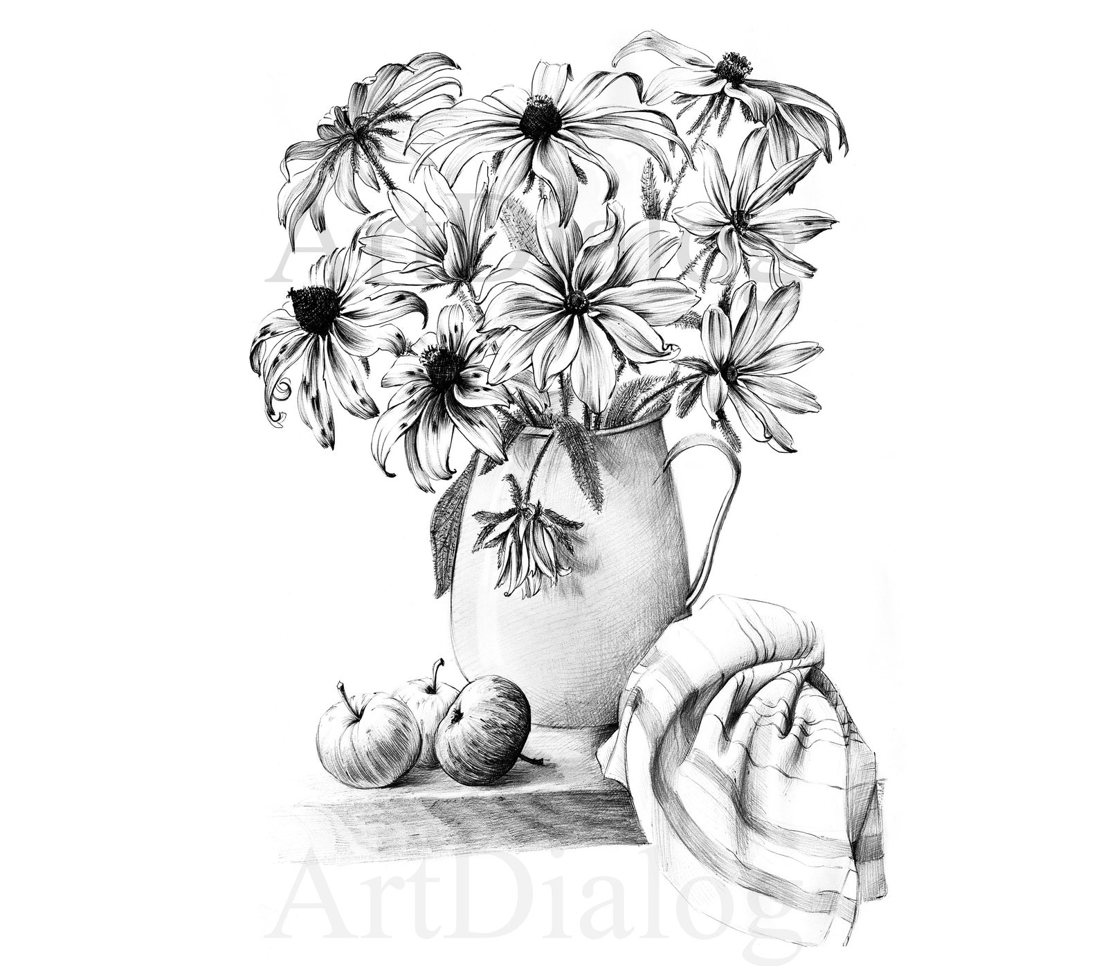Black-eyed Susan, Sketch, Rudbeckia, Bouquet, Maryland Flower, Still ...