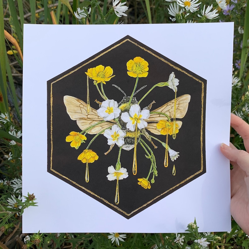 FeralFaunaArt - Etsy