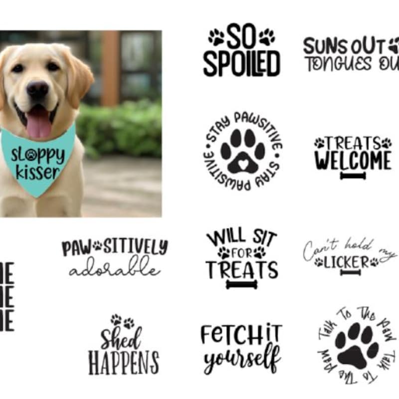 Vinyl Iron on Sayings Dog - Etsy