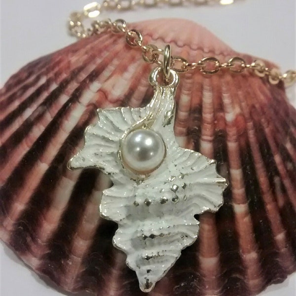 Conch Shell Necklace - Etsy
