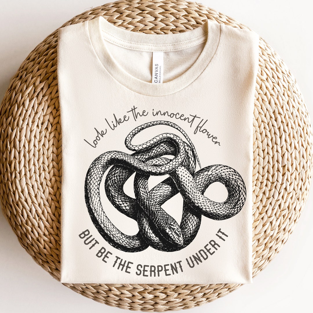 Shakespeare Shirt, Renaissance Shirt, Poet Shirt, Bookish Booktok Merch ...