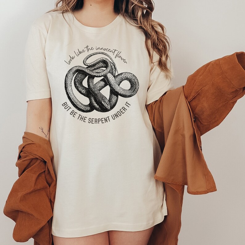 Shakespeare Shirt, Renaissance Shirt, Poet Shirt, Bookish Booktok Merch ...