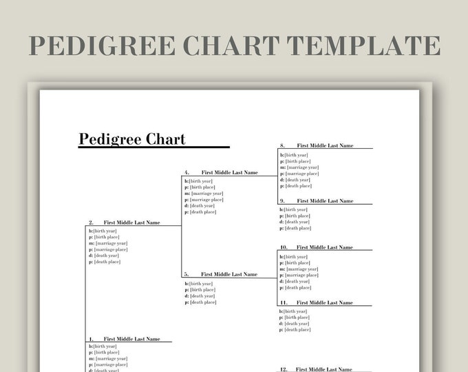 Pedigree Chart Template | Editable and Printable Family Tree | Four ...