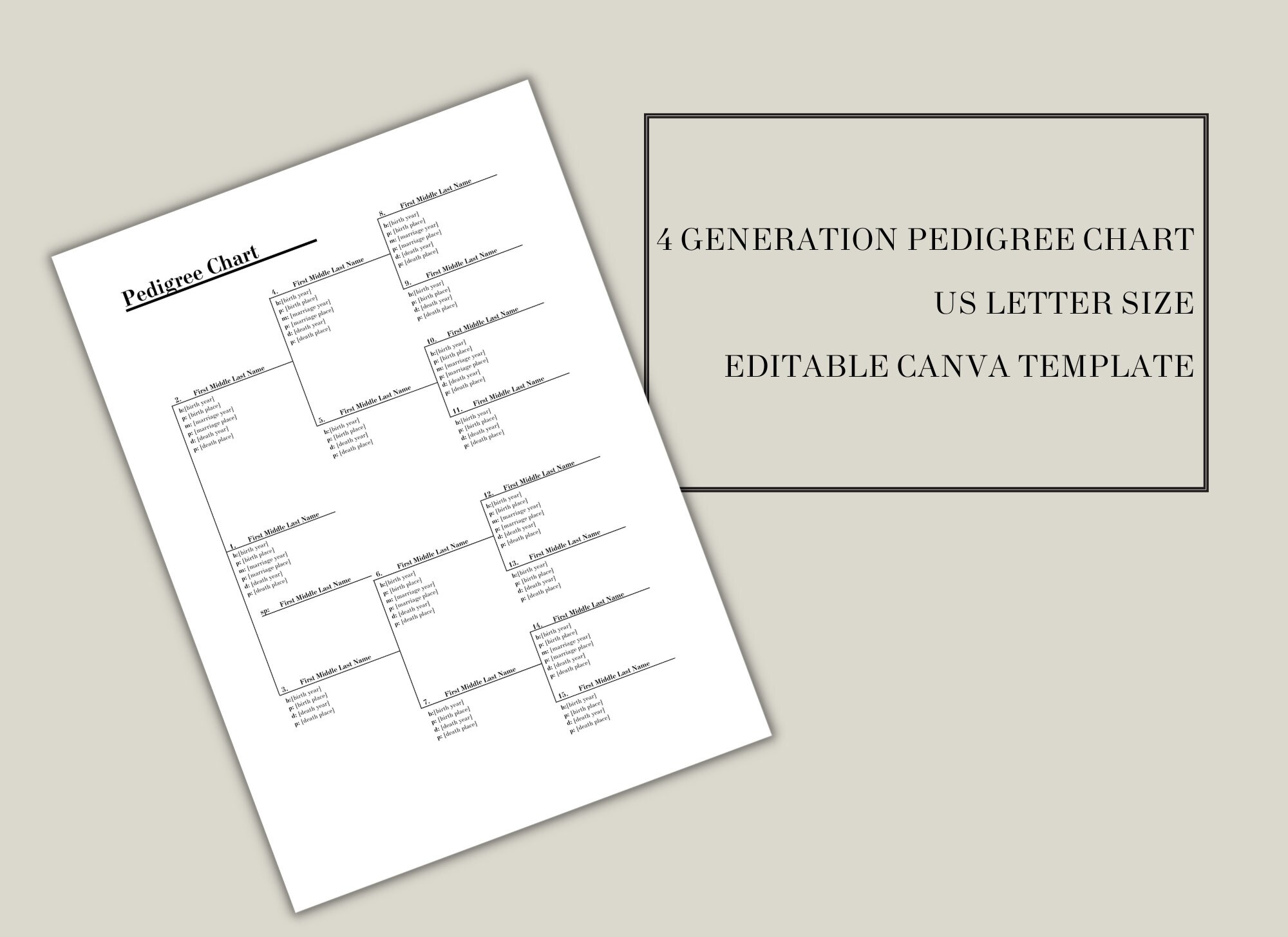 Pedigree Chart Template Editable and Printable Family Tree - Etsy