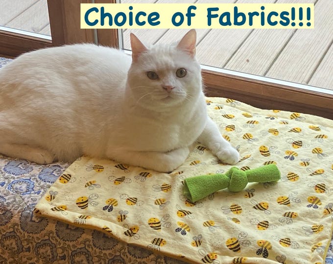 Catnip Cat Mat, Cat Mat for Pet Carrier, Cat Mat, Organic Catnip Play ...