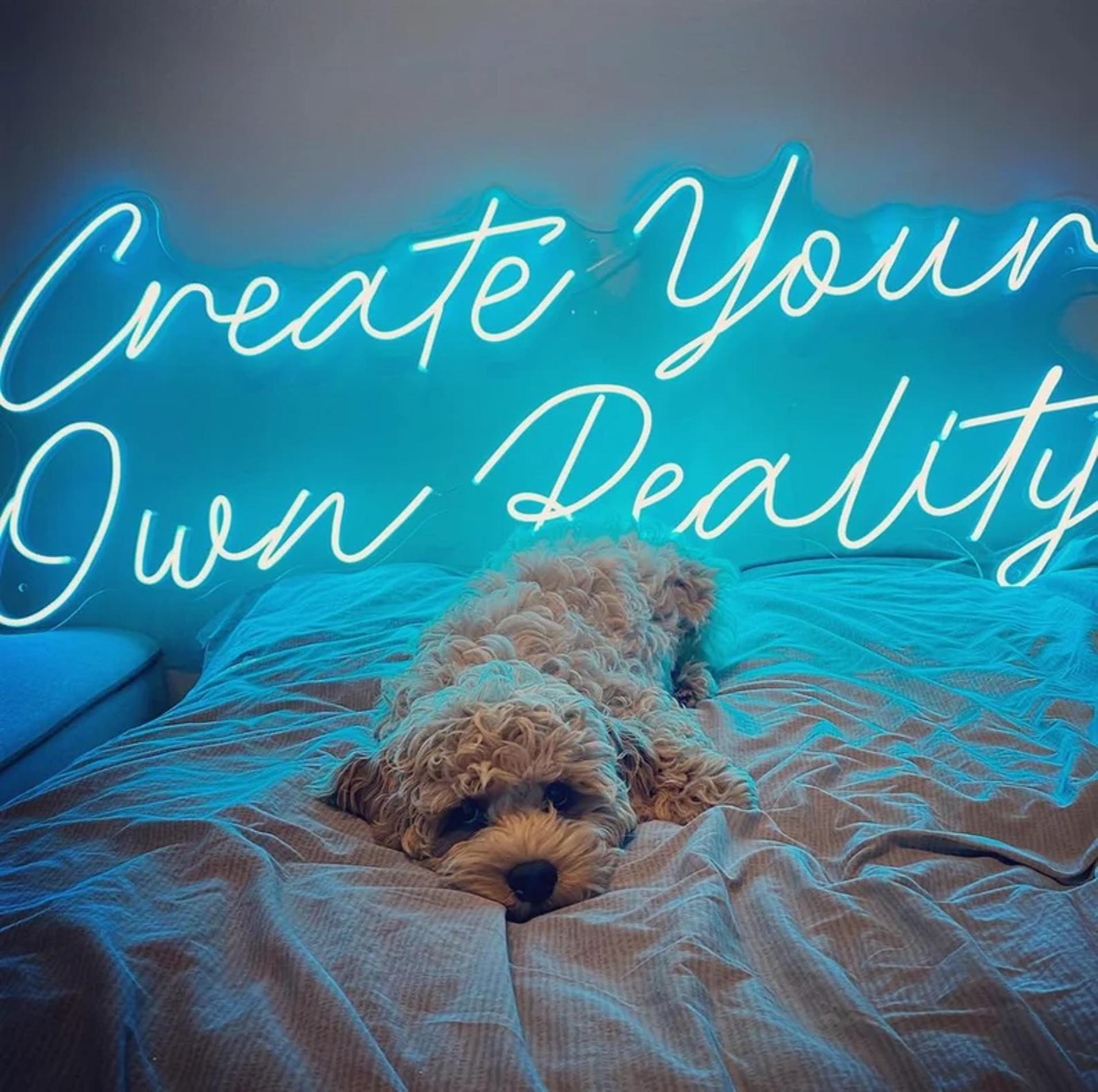 Custom Neon Sign,you're Like Really Pretty Neon Sign,neon Bedroom Sign ...