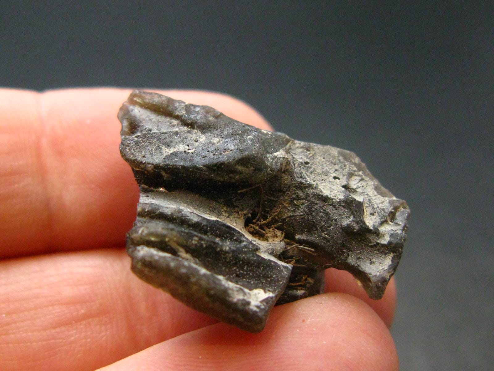 Meteor Splash Glass!! Fabulous Asymmetrical Rare Darwin Glass Tektite ...