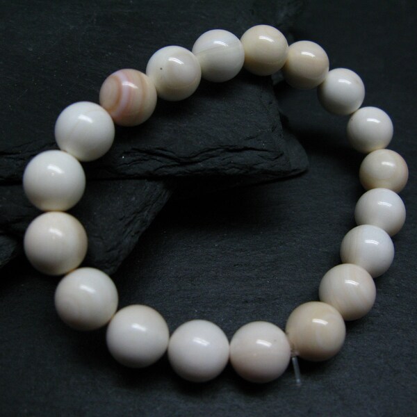 Conch Shell Beads - Etsy