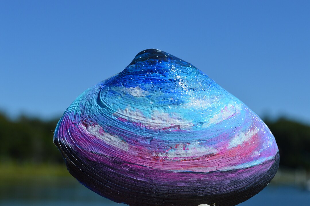 Seashell Sunset - Etsy
