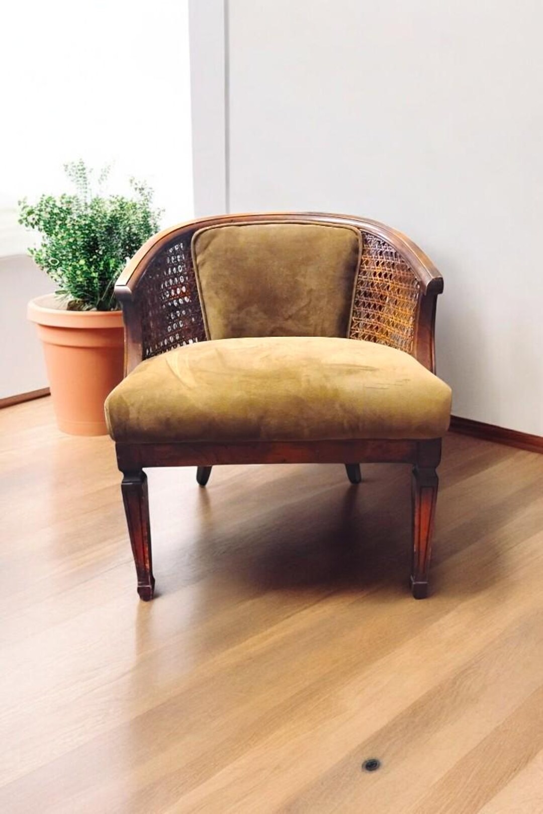 VINTAGE Mid Century Modern Barrel Back Chairs With Cane Paneling Solid ...