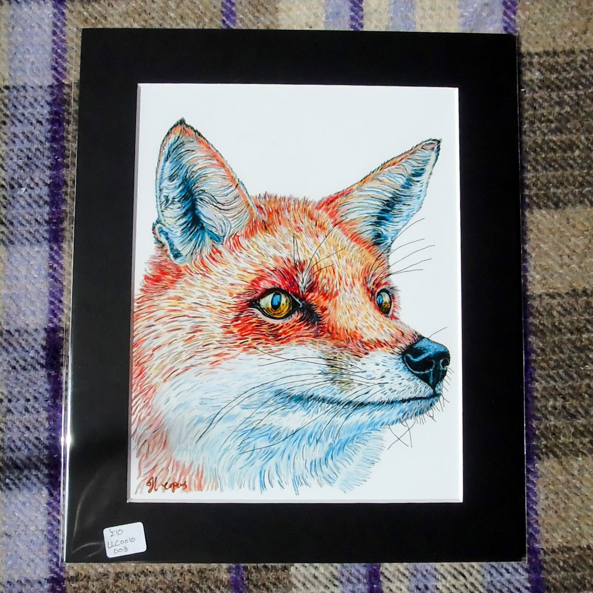 Fox Portrait Mounted Print of an Original Pen and Ink Illustration - Etsy