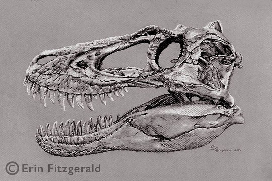 The Juvenile T-rex "jane" Small Print - Etsy