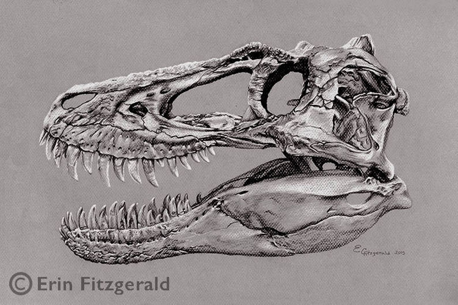 The Juvenile T-rex "jane" Small Print - Etsy