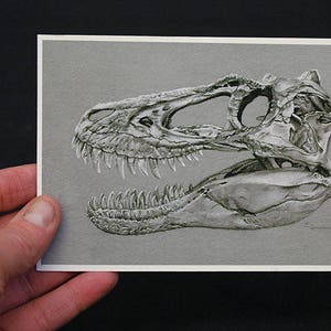 The Juvenile T-rex "jane" Small Print - Etsy