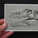 The Juvenile T-rex "jane" Small Print - Etsy